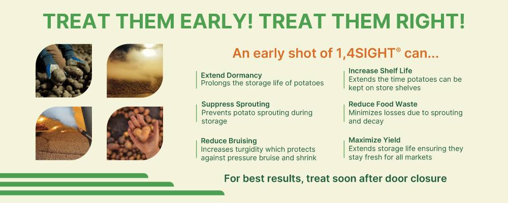 Dormancy and Sprout Control for Year-Round Potato Storage 🥔